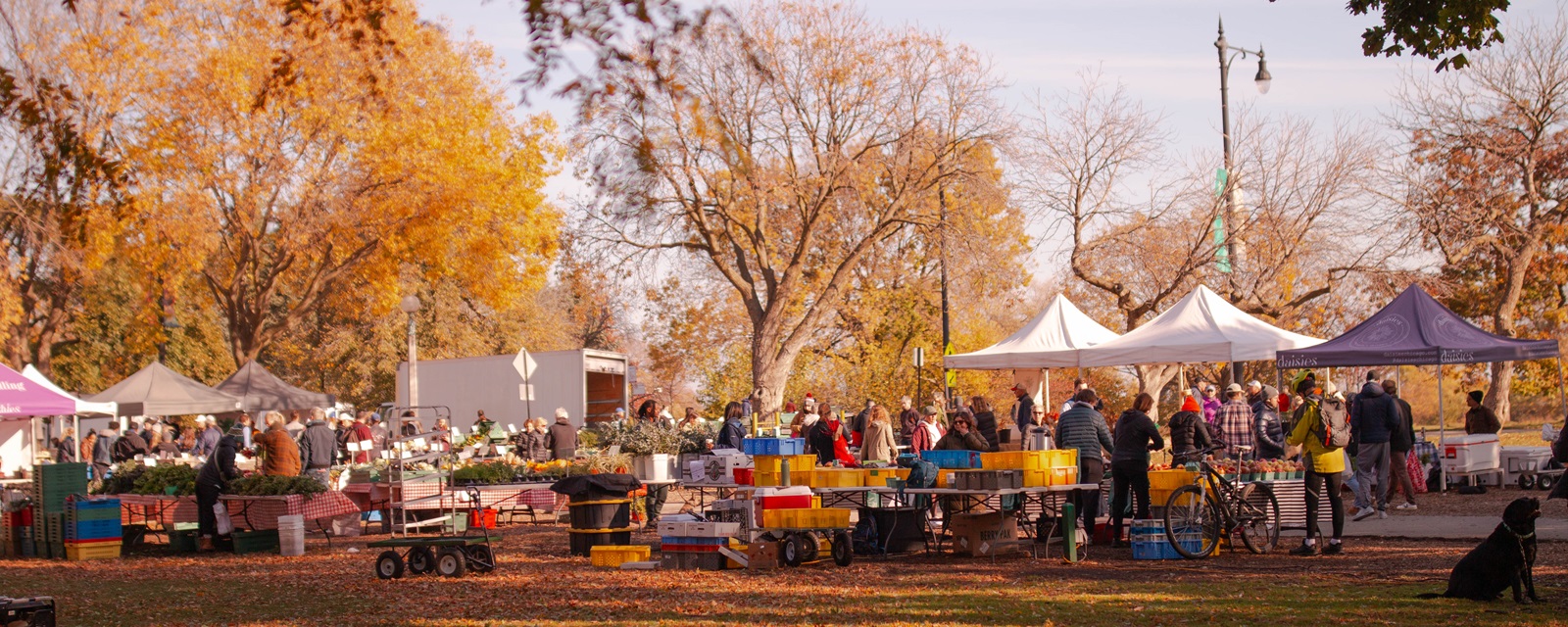 Green City Market | Chicago's Sustainable Farmers' Market - Green City ...